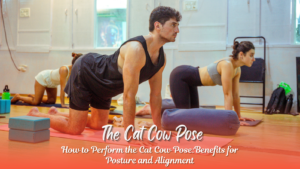 How to Perform the Cat Cow Pose: 5 Benefits for Posture and Alignment